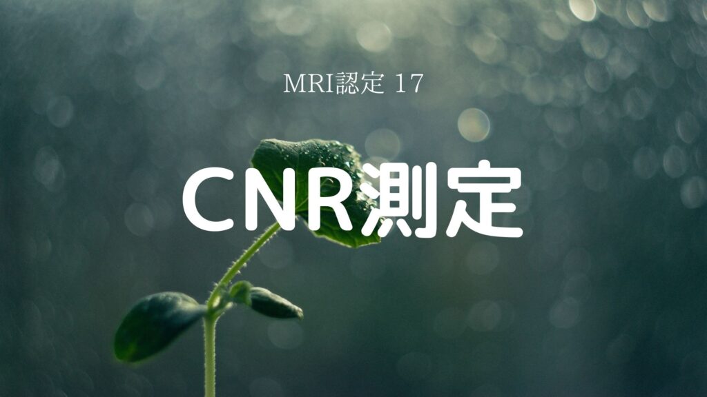 【MRI認定 13】画像均一性の評価について | ラドライフ