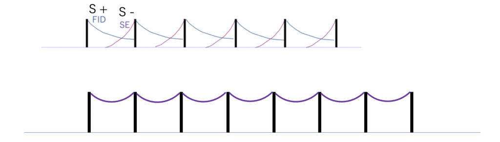 【MRI認定 24】SSFP、17問 | ラドライフ