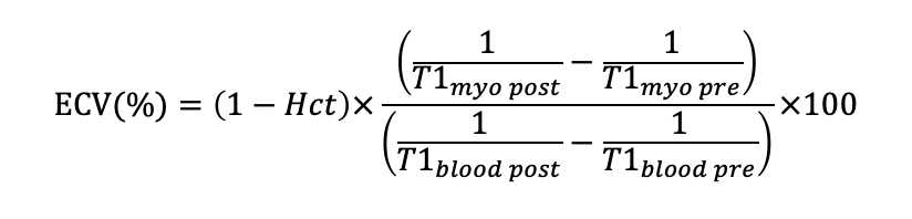 ECV細胞外容積分画 | ラドライフ