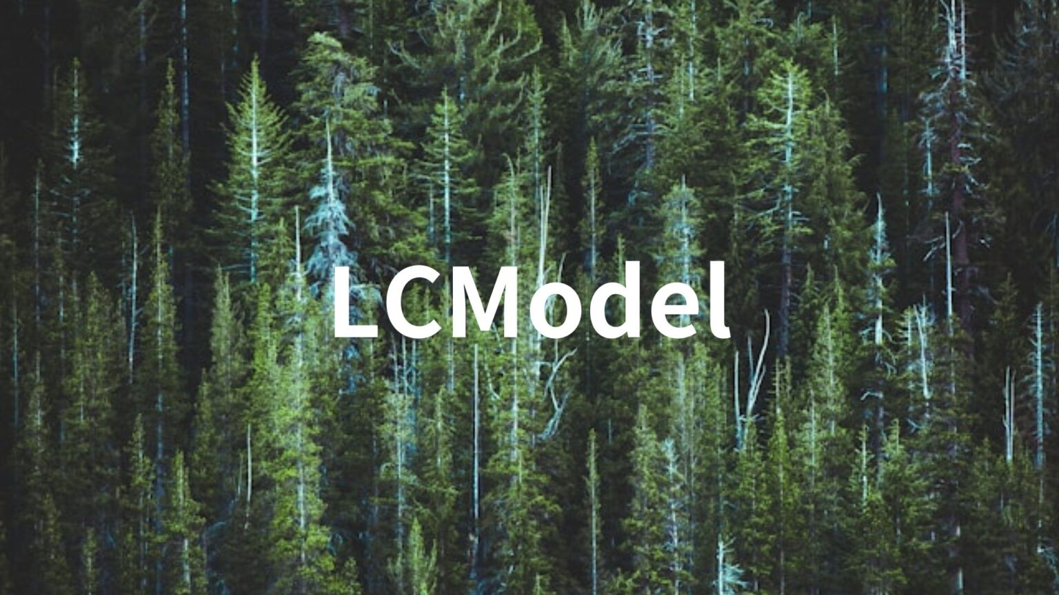 LCModel | ラドライフ